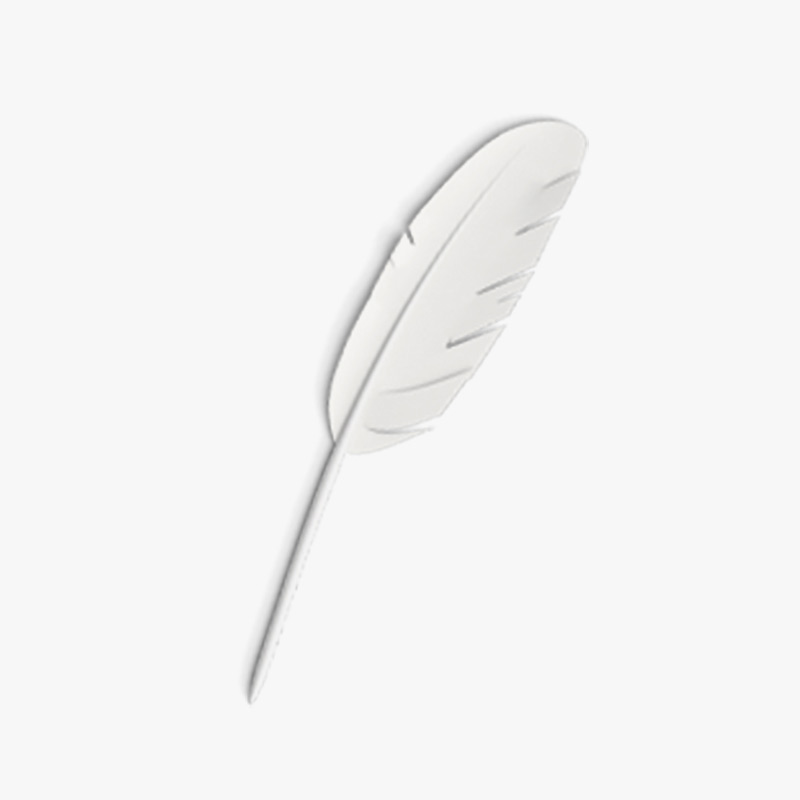 Dry Feather – Fishback Dominick