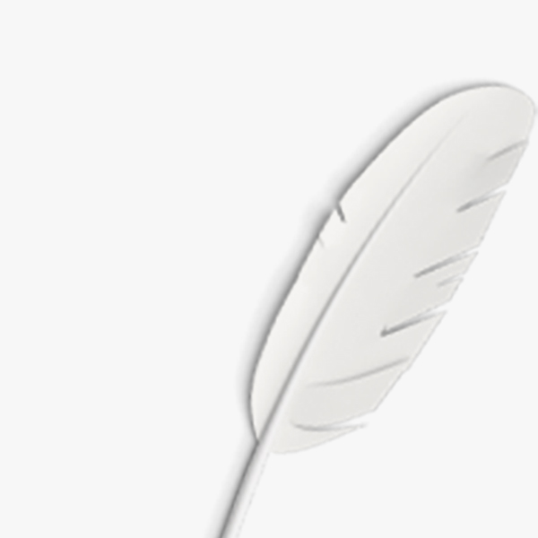 Dry Feather – Fishback Dominick